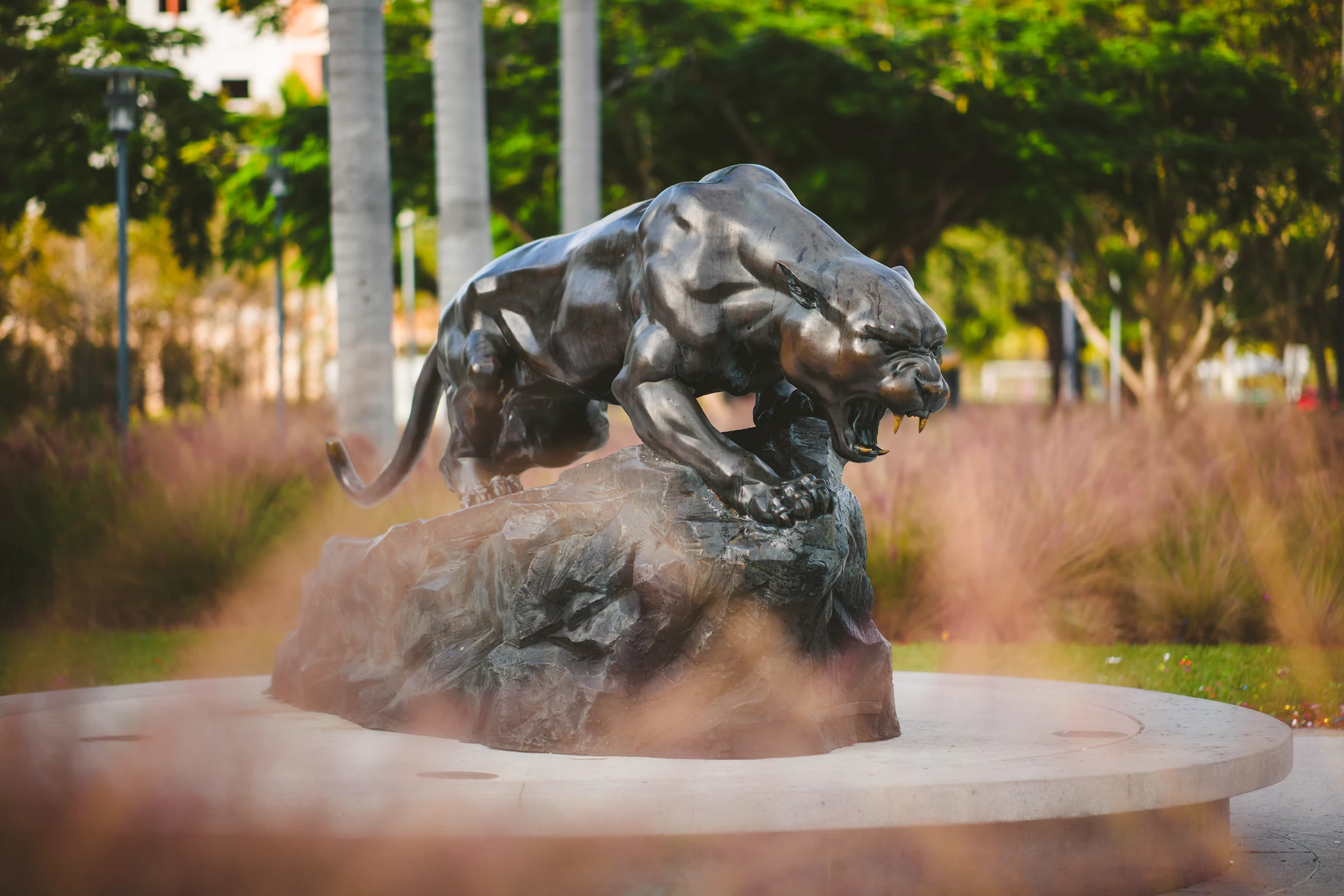 MyFIU - Florida International University